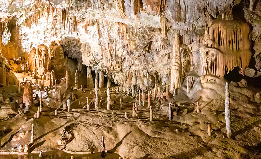 Grotten van Postojna in Slovenië bezoeken → Alle info & tips!