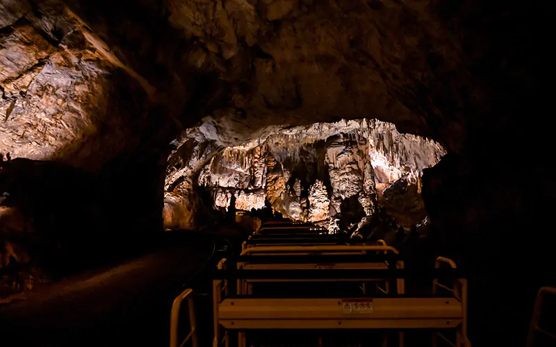 Grotten van Postojna in Slovenië bezoeken → Alle info & tips!